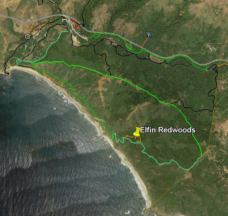 Elfin Redwood Forest: Andrew Molera State Park – Big Sur Trails+Maps